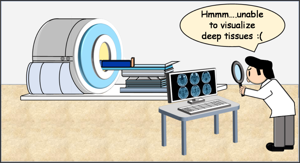 Using Microscopy to look “deeply” inside the brain - The Science Paradox