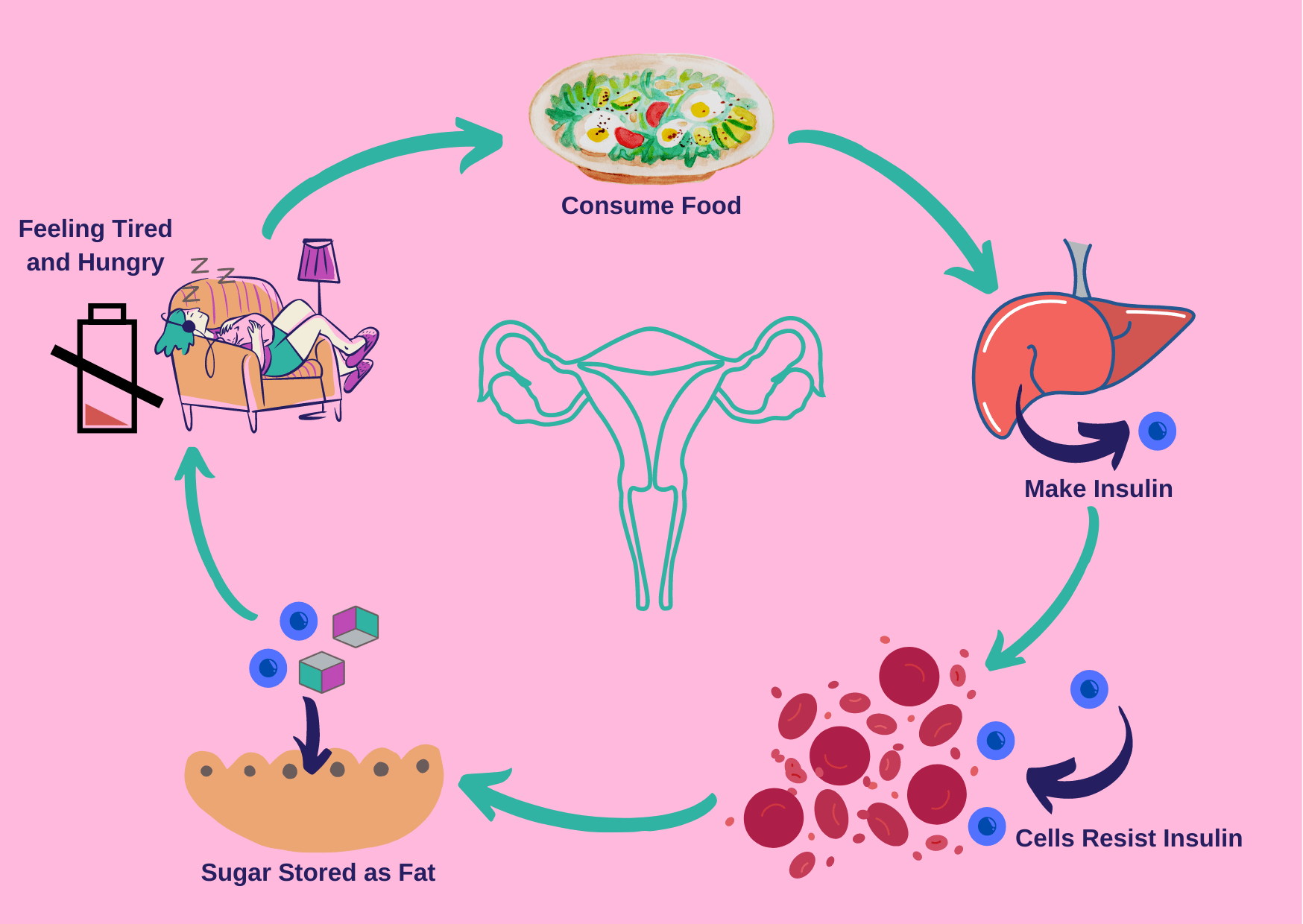 PCOS and Physical Health - The Science Paradox